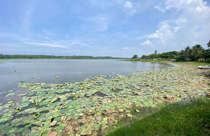 Esta es la laguna más grande en la ciudad de Veracruz ¿la conoces? | Ya! FM